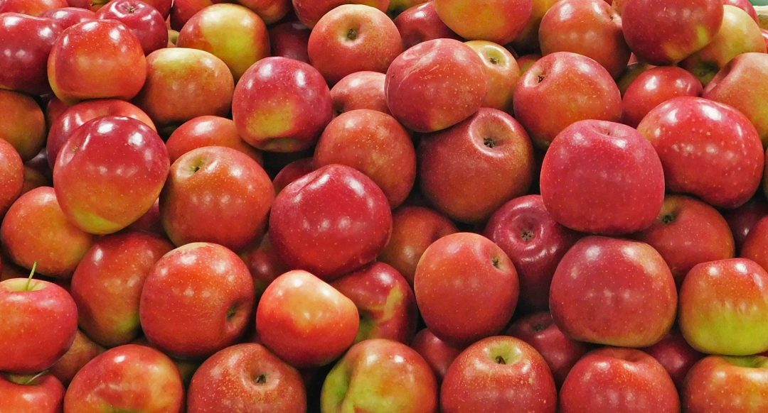 Rome Apples | Trax Farms