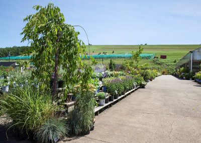 Trax Farms Greenhouse | Finleyville, PA