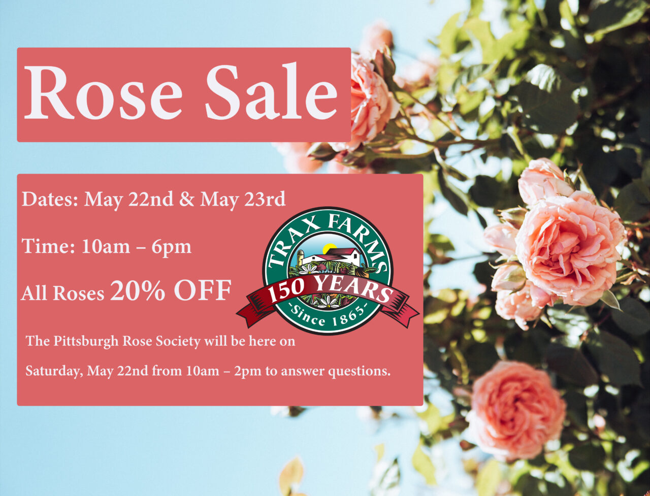 Rose Sale | Trax Farms