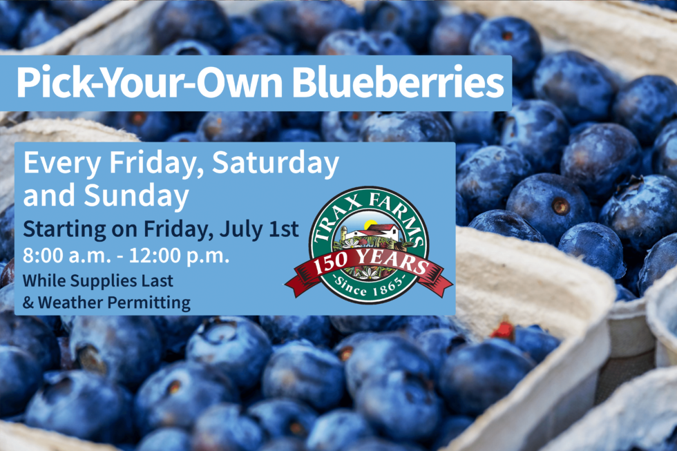 Fruit and Vegetable Farm in the South Hills | Trax Farms