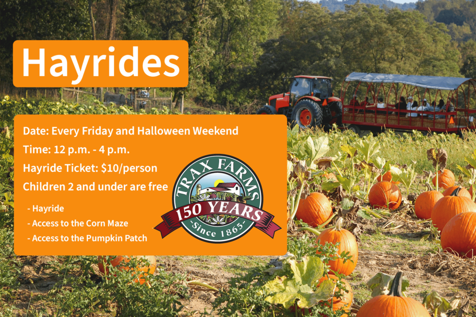 Fruit and Vegetable Farm in the South Hills | Trax Farms