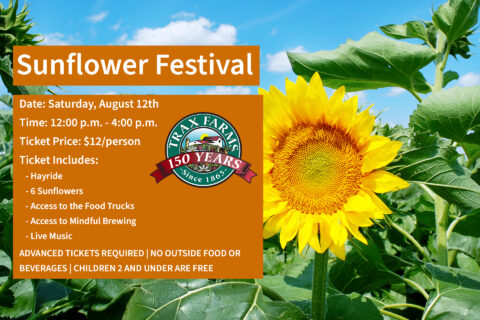 Sunflower Festival | Trax Farms