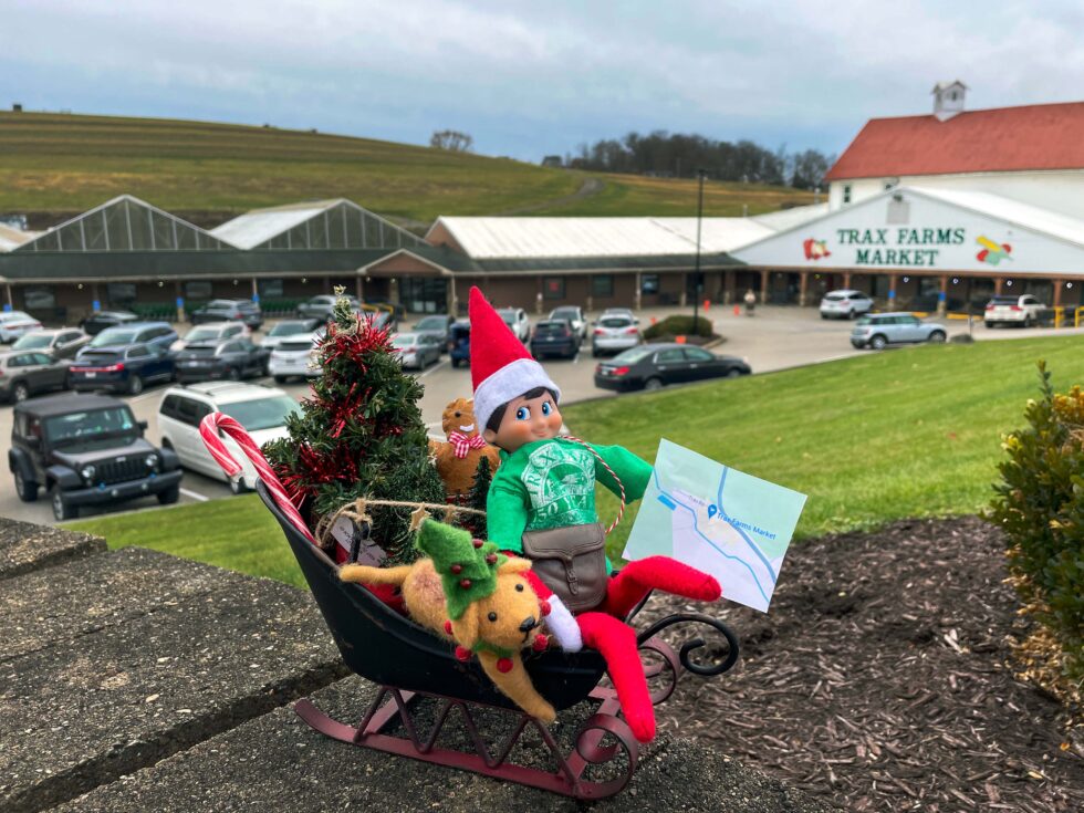 Fruit and Vegetable Farm in the South Hills | Trax Farms