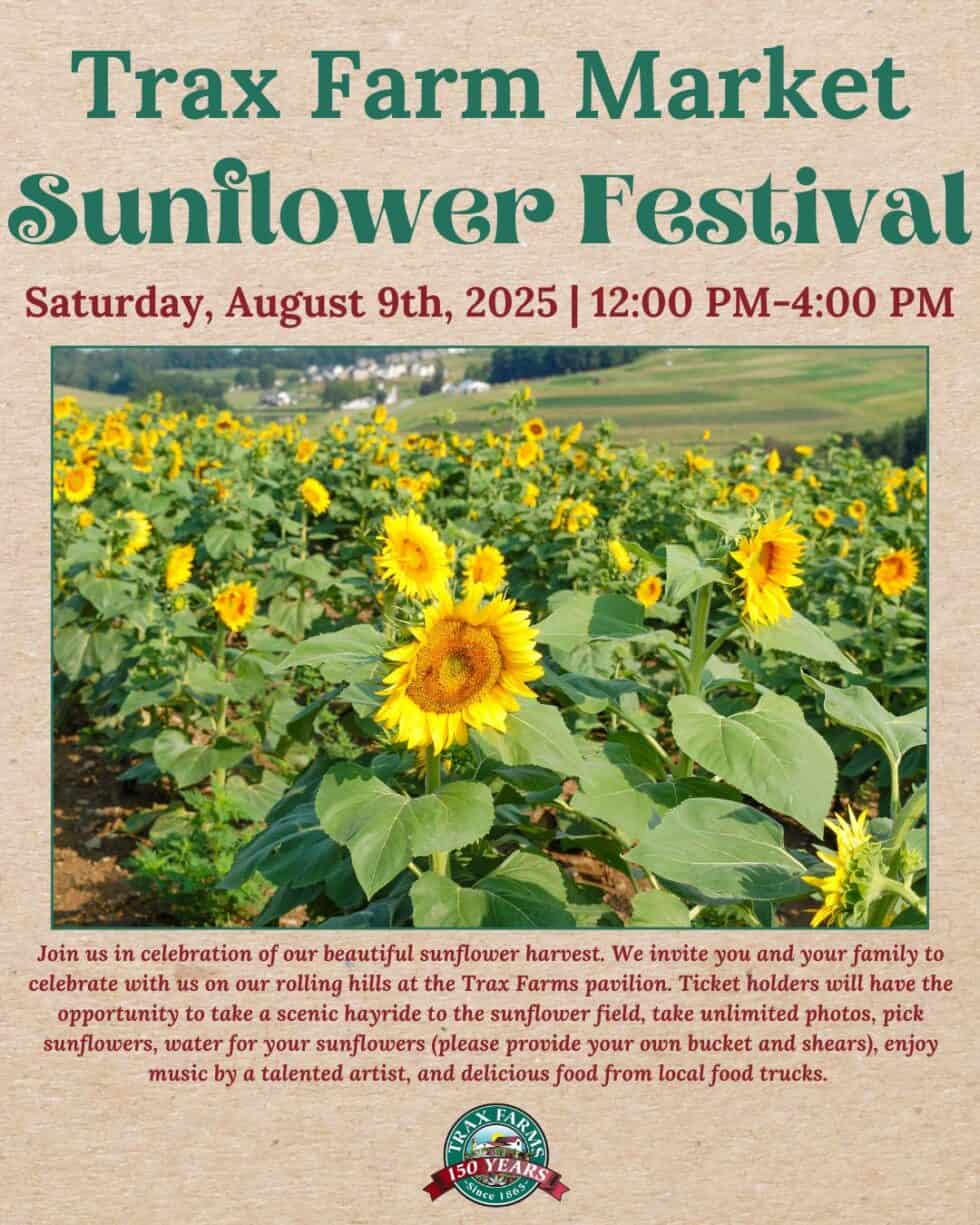 Trax Farm Market Sunflower Festival | Trax Farms